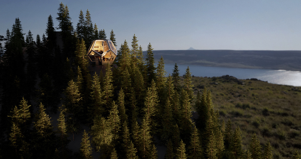 Testing d5 trees - Gallery - D5 RENDER FORUM