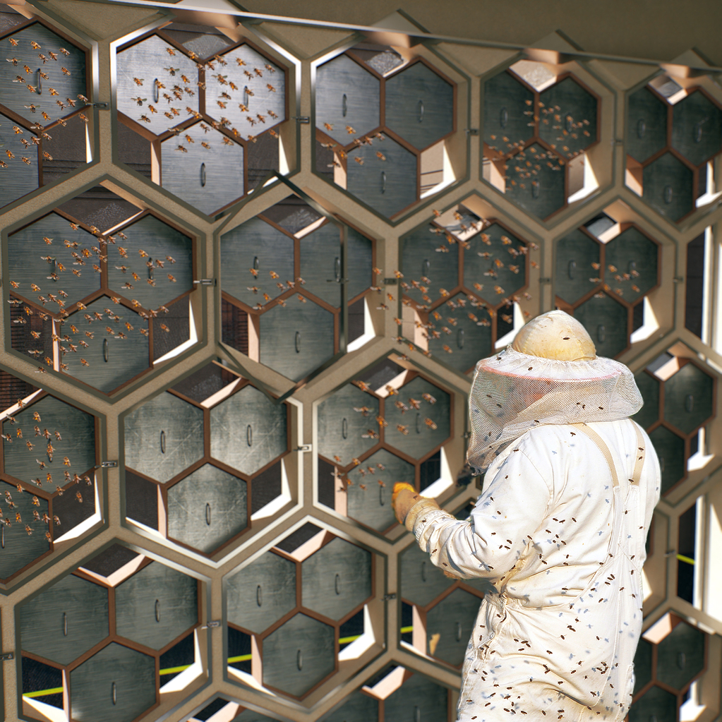 Honeybee Hive Facade - Gallery - D5 RENDER FORUM