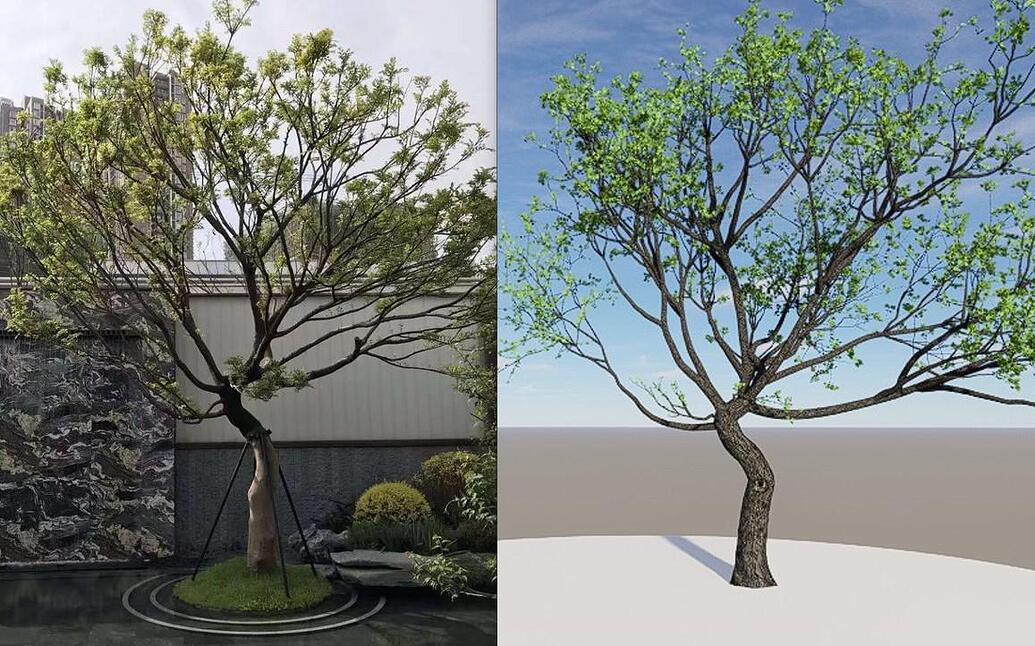 New Release: 900+ new assets in D5 2.3 | Landscape Assets, Asian ...