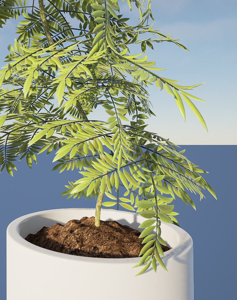 More realistic plants? - D5 Asset Library - D5 RENDER FORUM