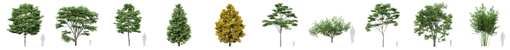 New Release: 900+ new assets in D5 2.3 | Landscape Assets, Asian ...