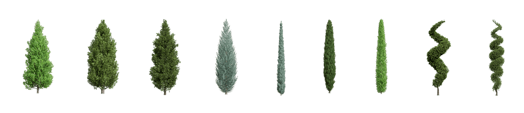 Discover 200+ New Global Plants in D5 Render: Fir, Pine, Palm, Cypress ...