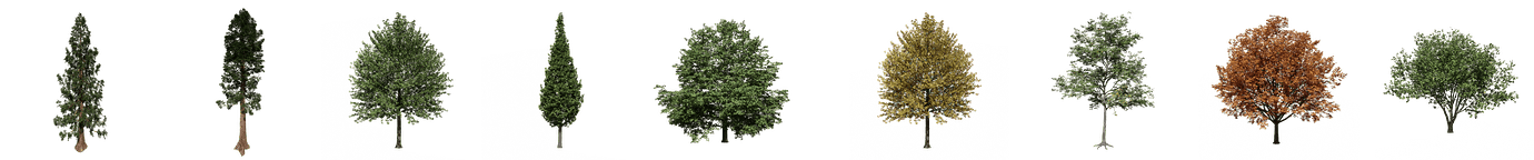 200+ New ANIMATED Plant Models in D5 Asset Library: Flowering Herbs ...