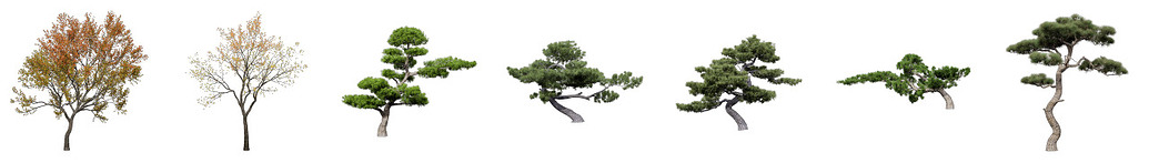 New Release: 220+ new animated spring plants | Flower bed combos ...