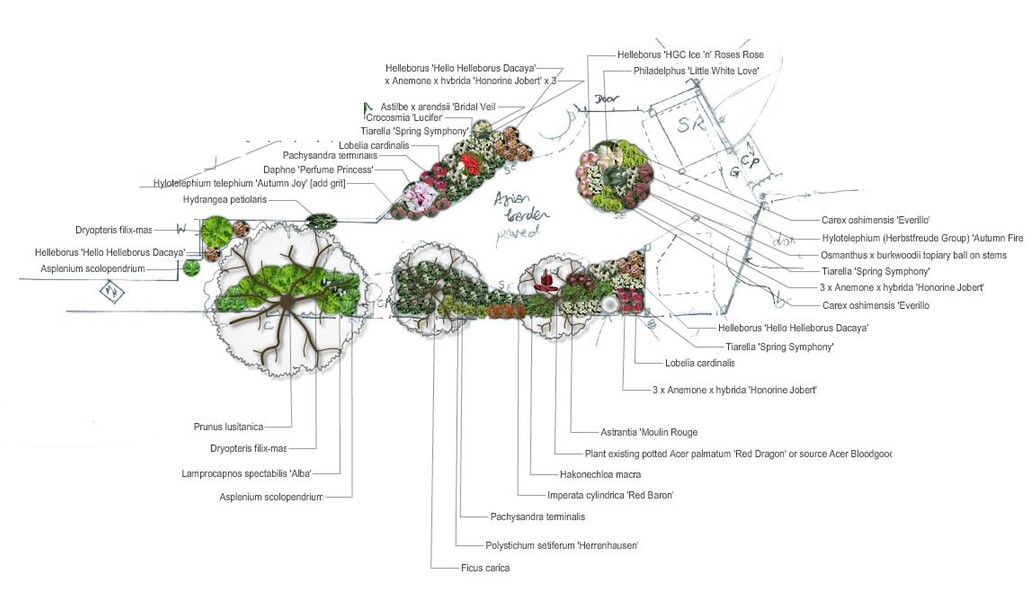 Planting plans as part of vegetation scatter - Ideas & Requests - D5 ...