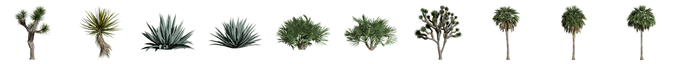 Global Plants Vol.3丨260+ New Animated Plants in D5 Asset Library - D5 ...