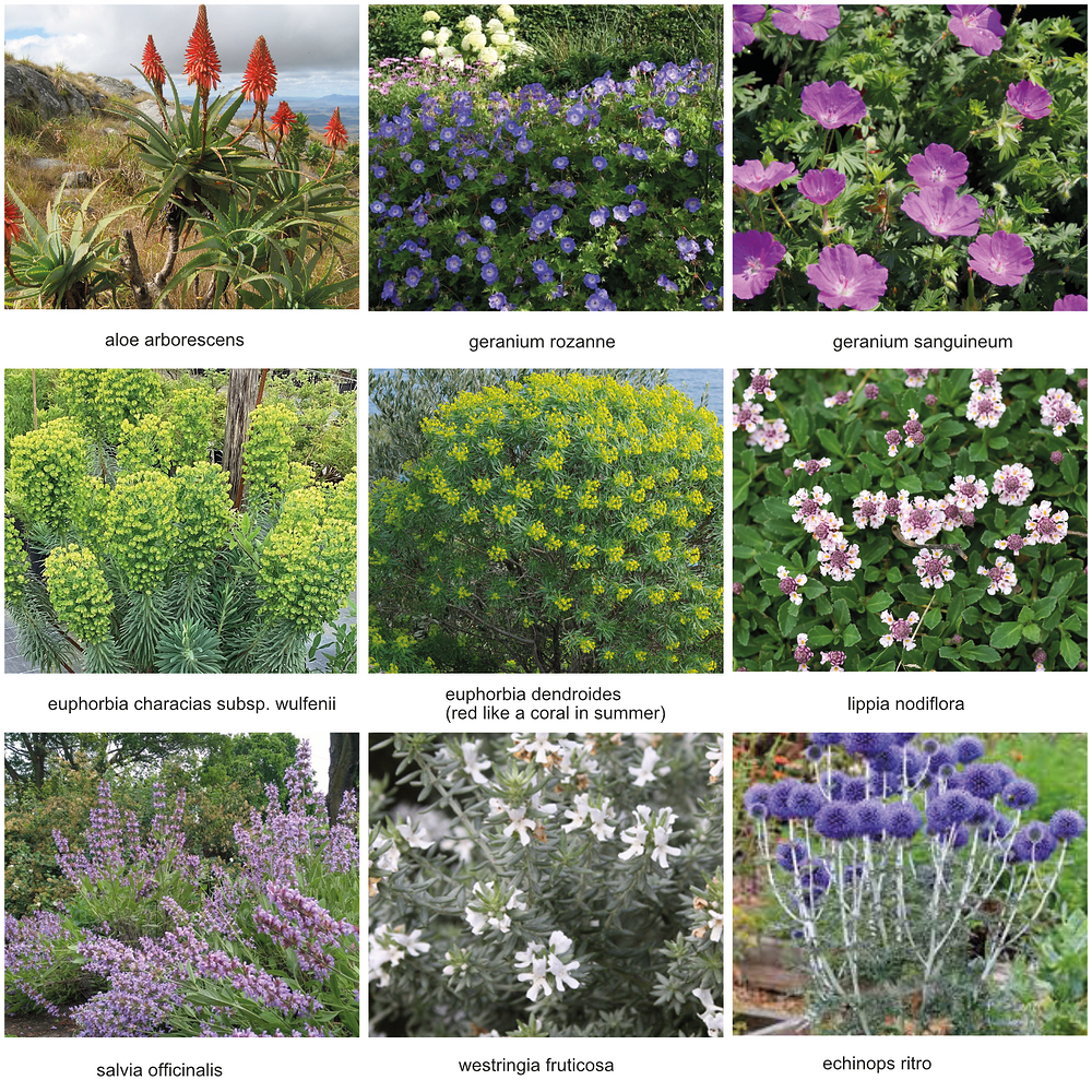 I need to change the color of the flower of a plant from the assets ...