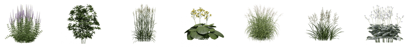200+ New ANIMATED Plant Models in D5 Asset Library: Flowering Herbs ...