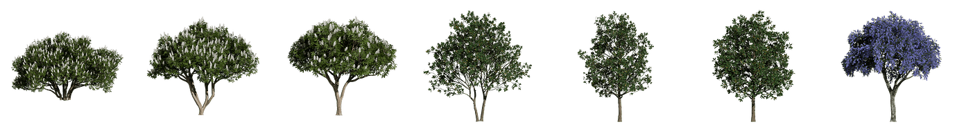 Global Plants Vol.3丨260+ New Animated Plants in D5 Asset Library - D5 ...