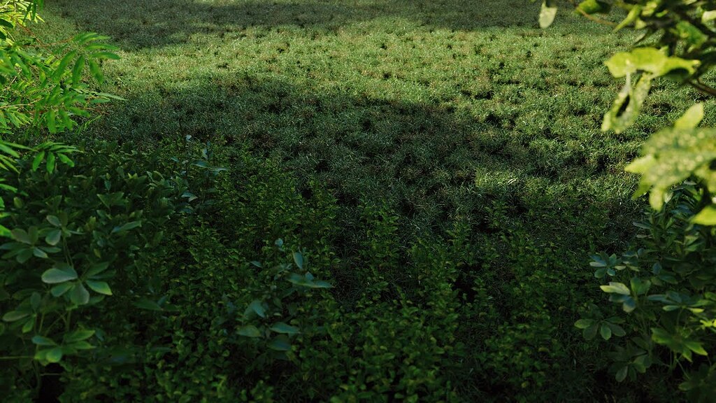 Grass test - Gallery - D5 RENDER FORUM