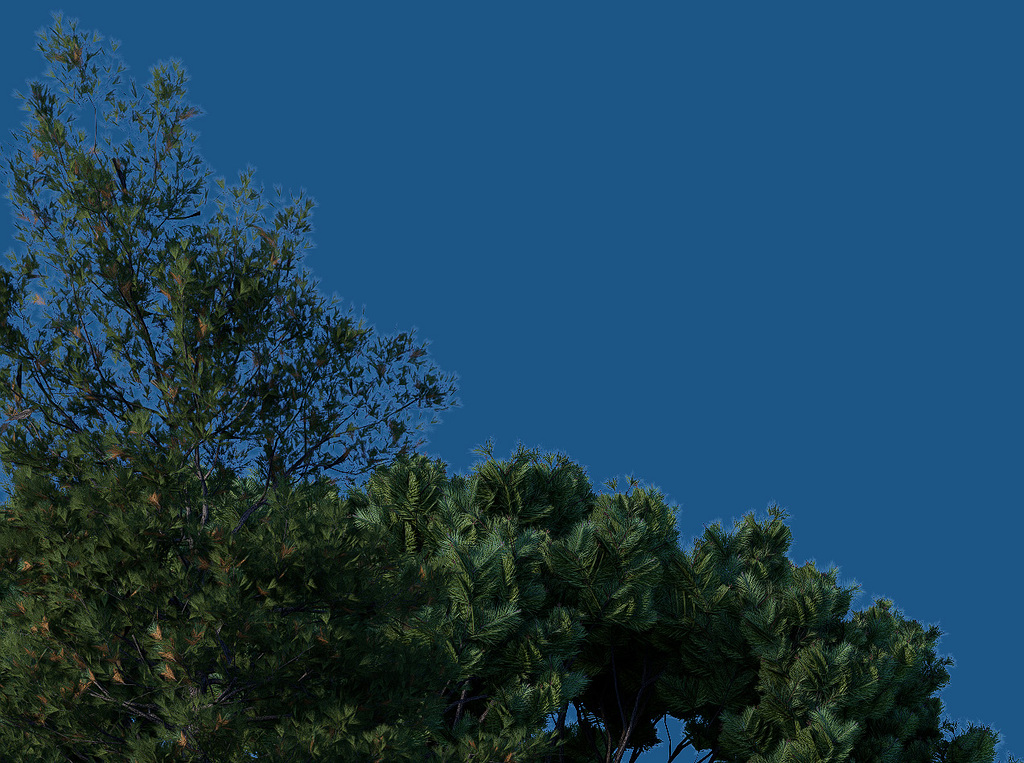 Sky mask has remaining blue edge - Get Help - D5 RENDER FORUM