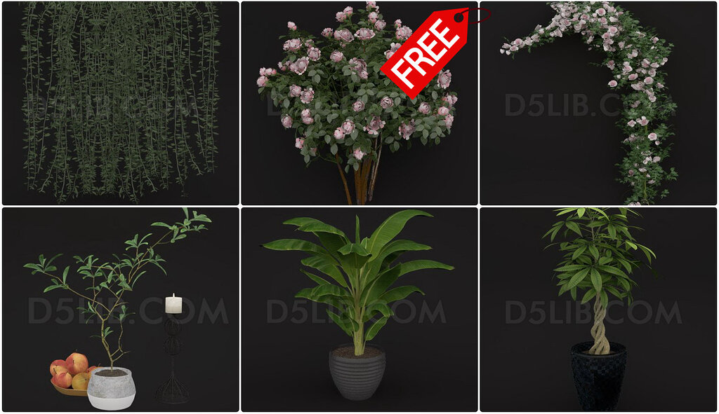 Free D5 Models 08 Download - Assets Sharing - D5 RENDER FORUM