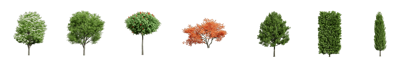 Discover 200+ New Global Plants in D5 Render: Fir, Pine, Palm, Cypress ...