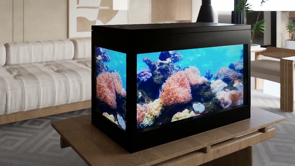 Free Aquarium Model Optimized for D5 Render with Animated Fish Videos ...