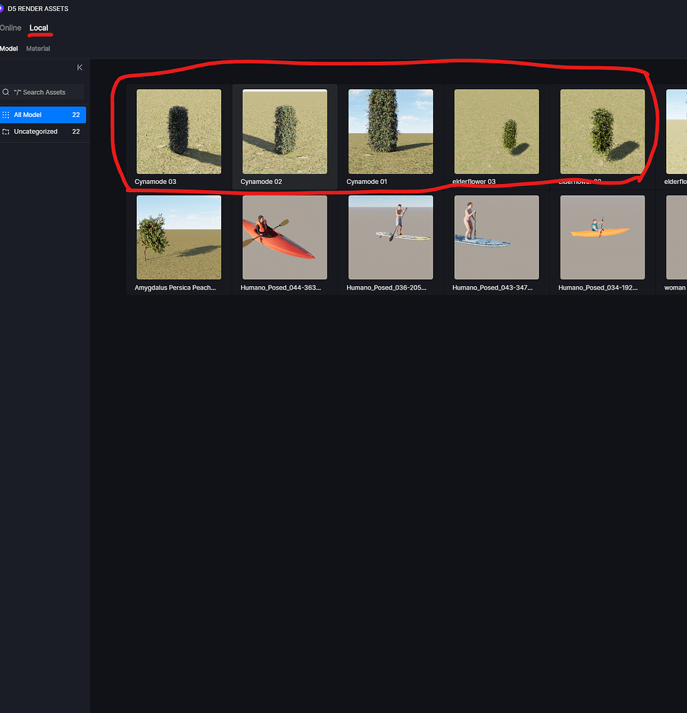 Adding path tool and brush tool to local Assets - Ideas & Requests - D5 RENDER FORUM