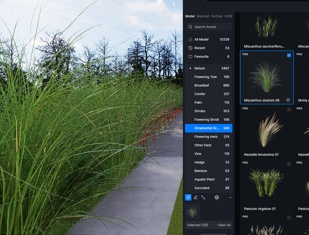 Ornamental Grass - Scale issue - D5 Asset Library - D5 RENDER FORUM
