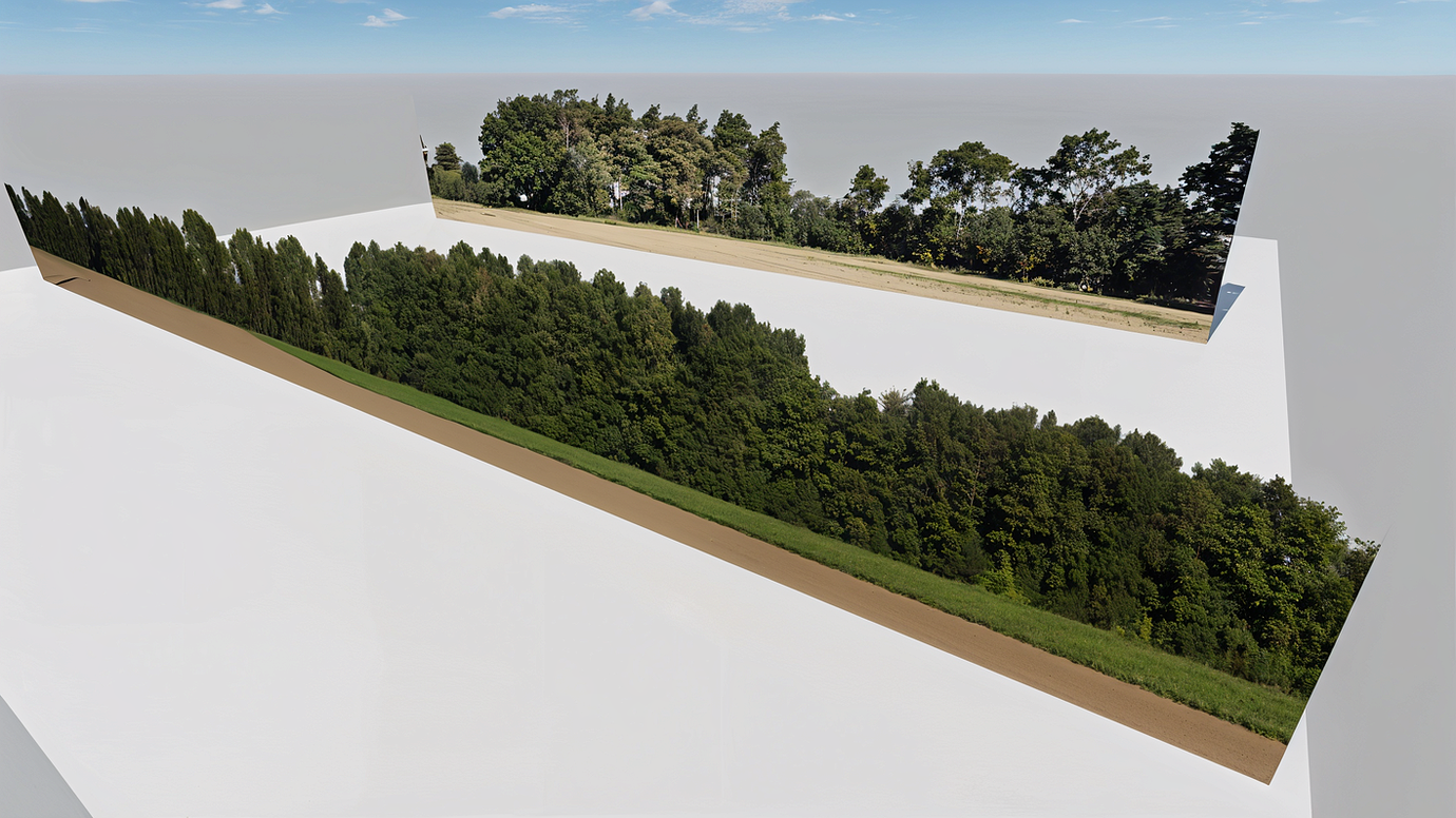 Two rows of trees - Assets Sharing - D5 RENDER FORUM