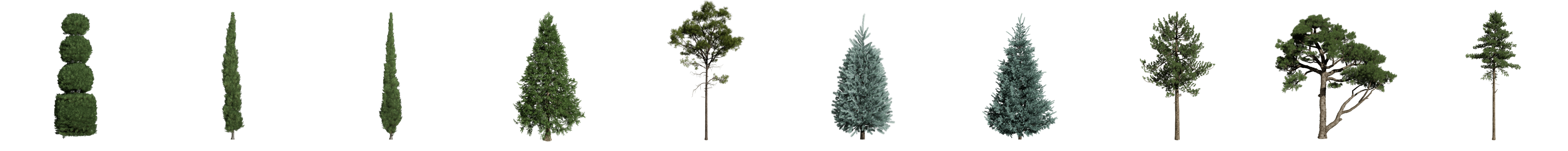 Global Plants Vol.3丨260+ New Animated Plants in D5 Asset Library - D5 ...