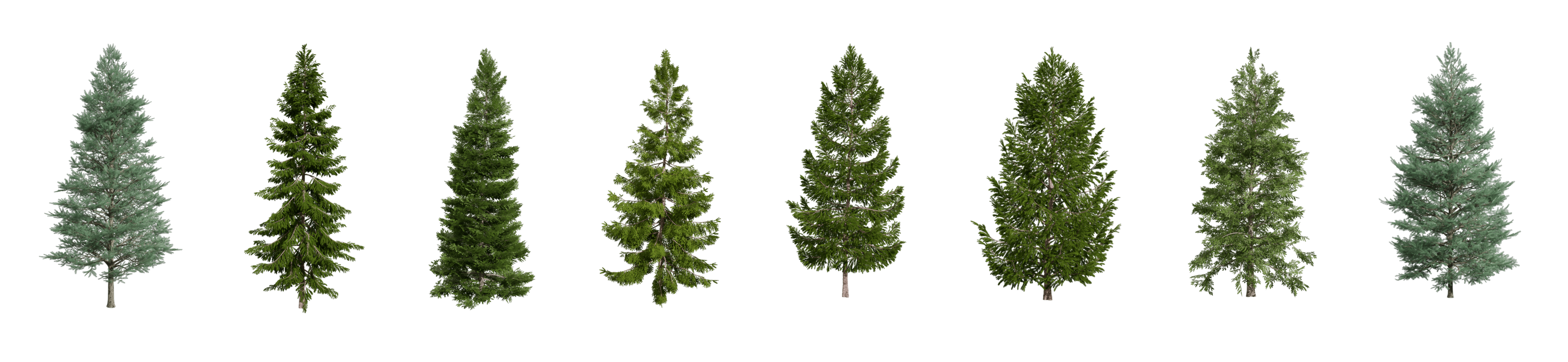 Discover 200+ New Global Plants in D5 Render: Fir, Pine, Palm, Cypress ...