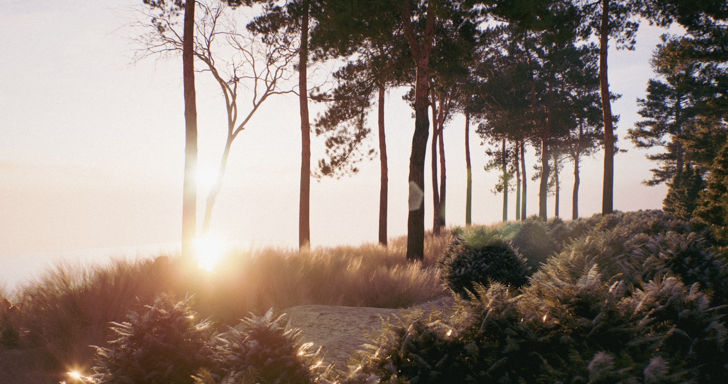 Beach Renders - Gallery - D5 RENDER FORUM